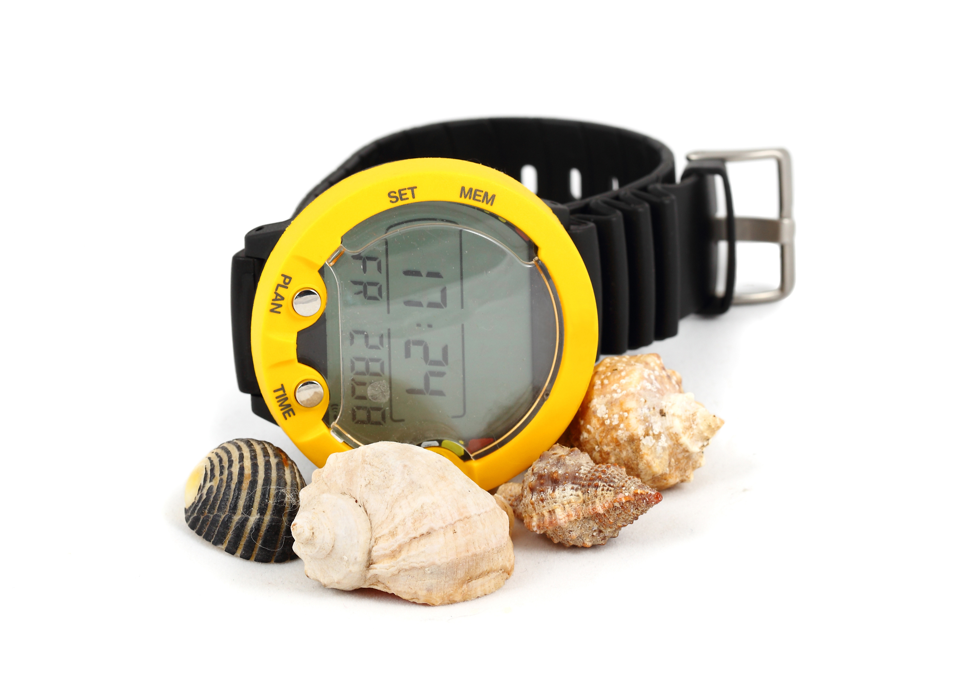 Dive computer for diving with sea shells on white background – Brass ...